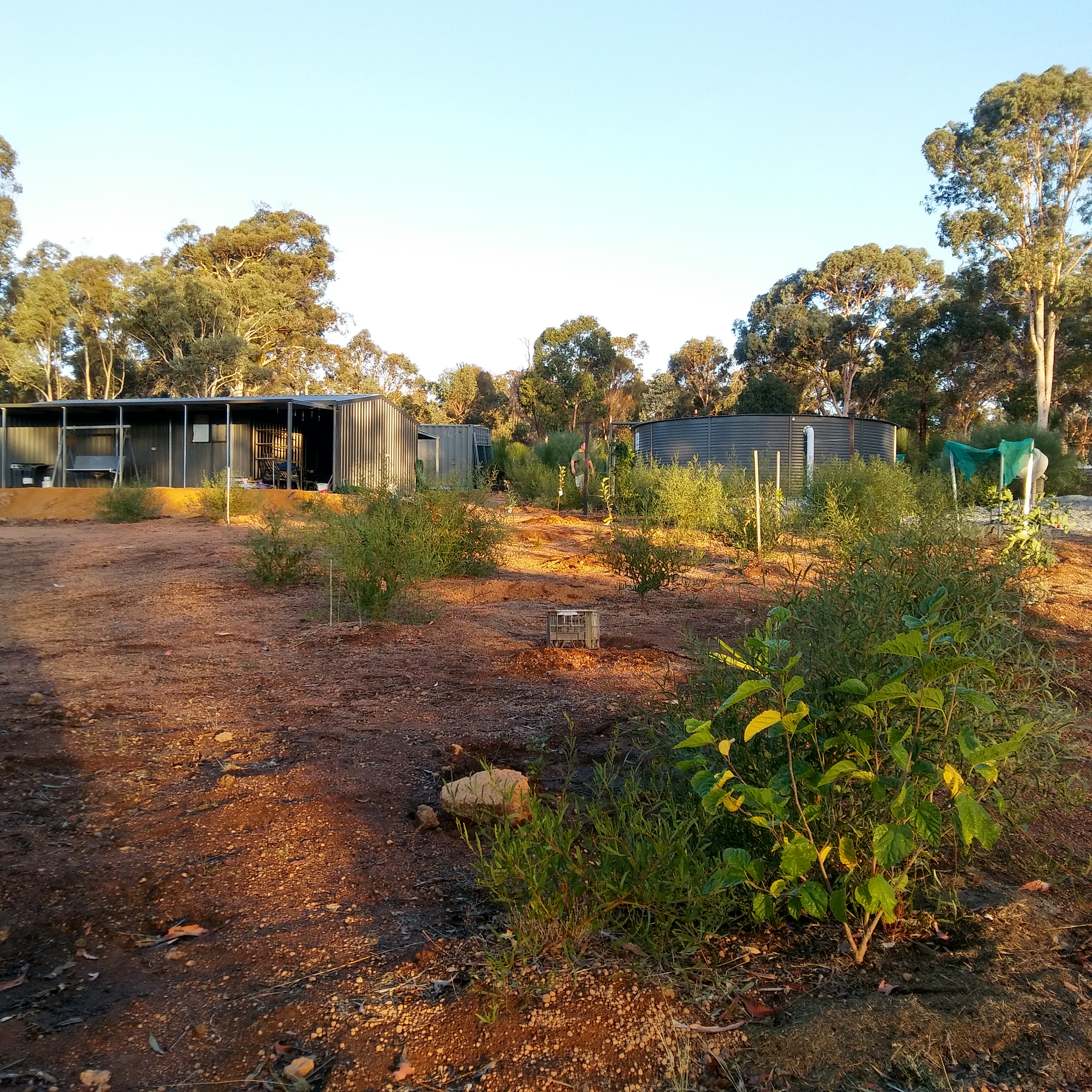 Gardens… A place to escape depression – The Depression Free Garden